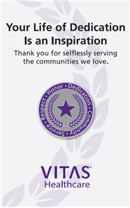 VITAS Service Honor Pin
